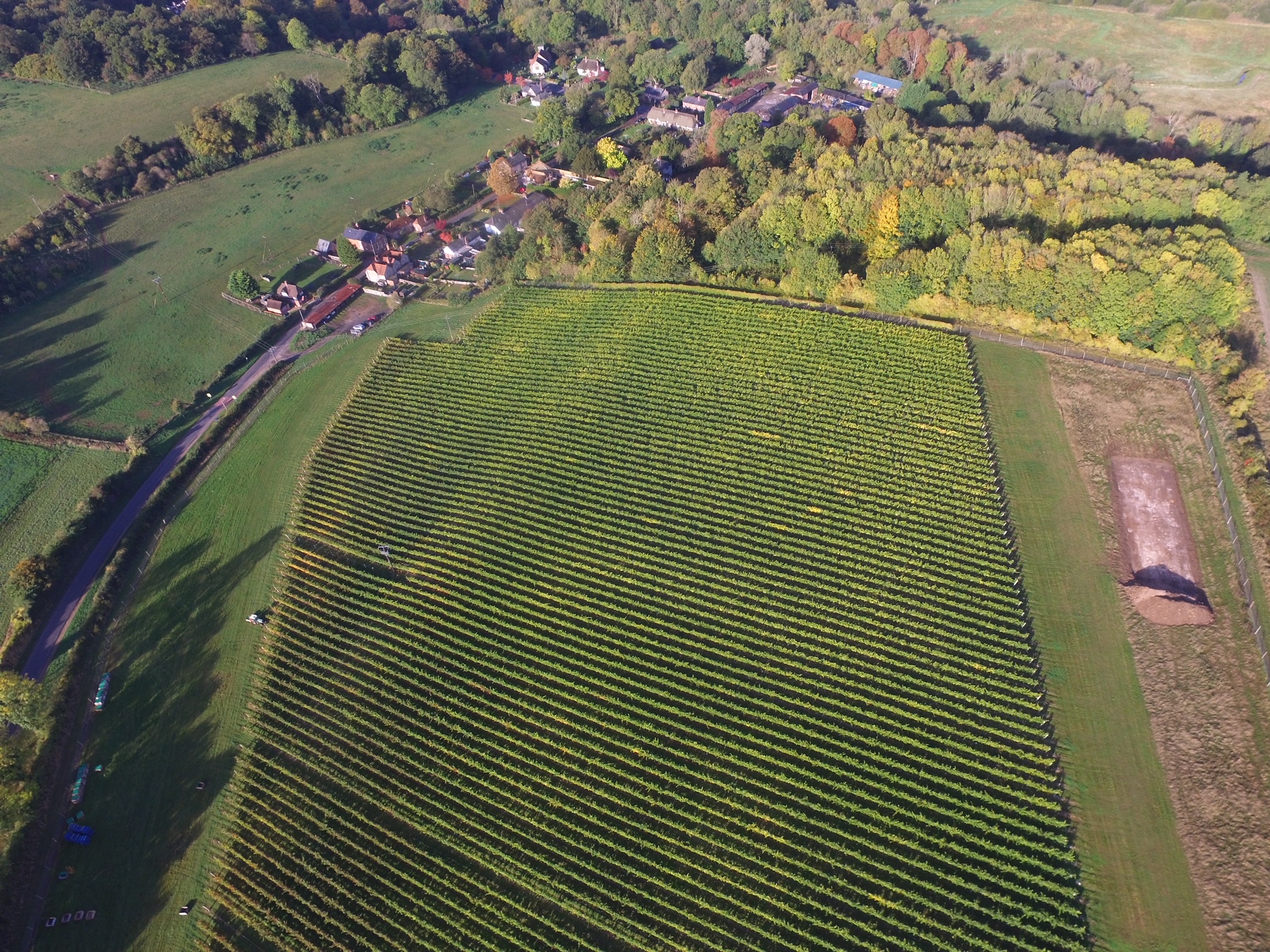 Leckford Vineyard to Glass – A discovery journey with Laurence Civil of ...