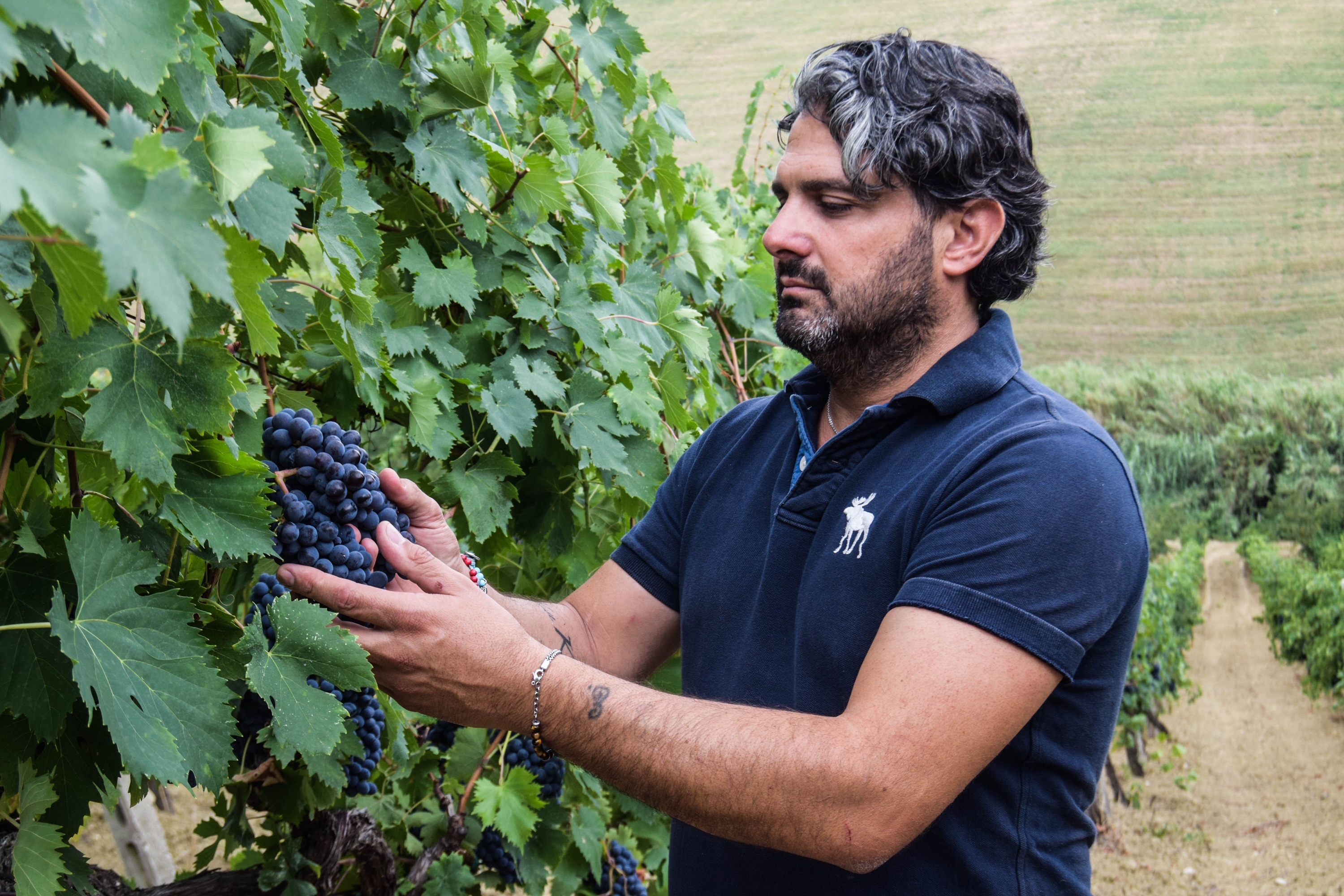 Marche’s Hidden Gems – A discovery journey with Laurence Civil of his ...