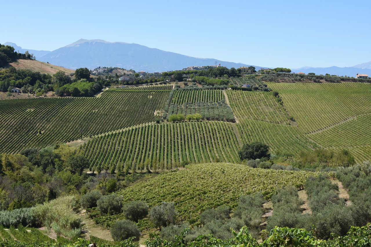Marche’s Hidden Gems – A discovery journey with Laurence Civil of his ...